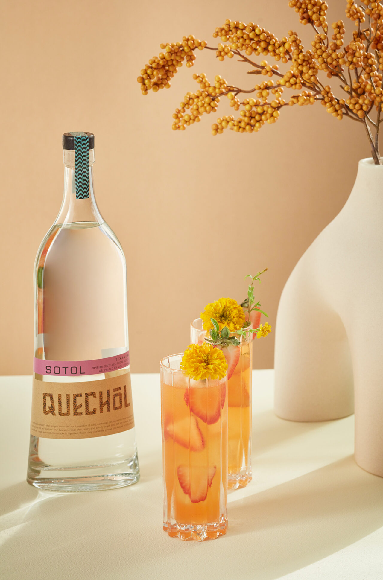 Desert Sun - Quechol